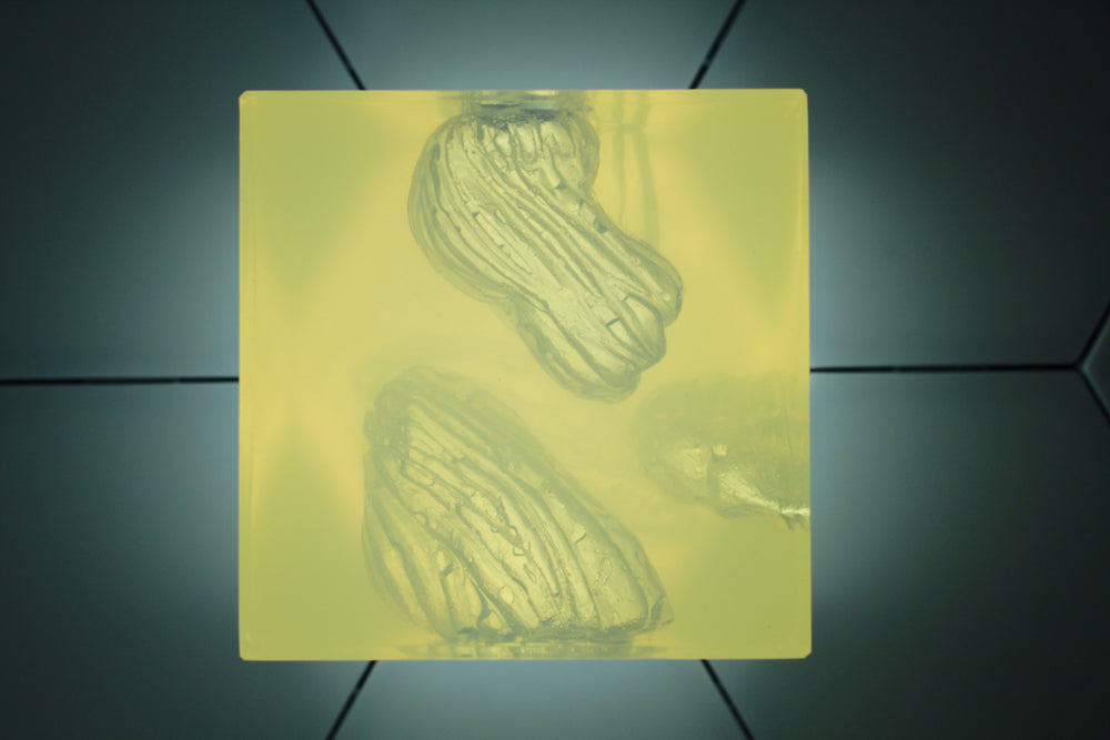 Wound Cube - Training Pack | Silicone Wound Simulator and Training Aid