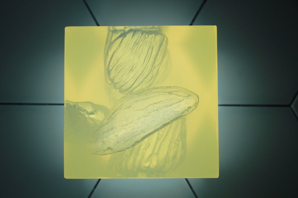 Wound Cube - Training Pack | Silicone Wound Simulator and Training Aid